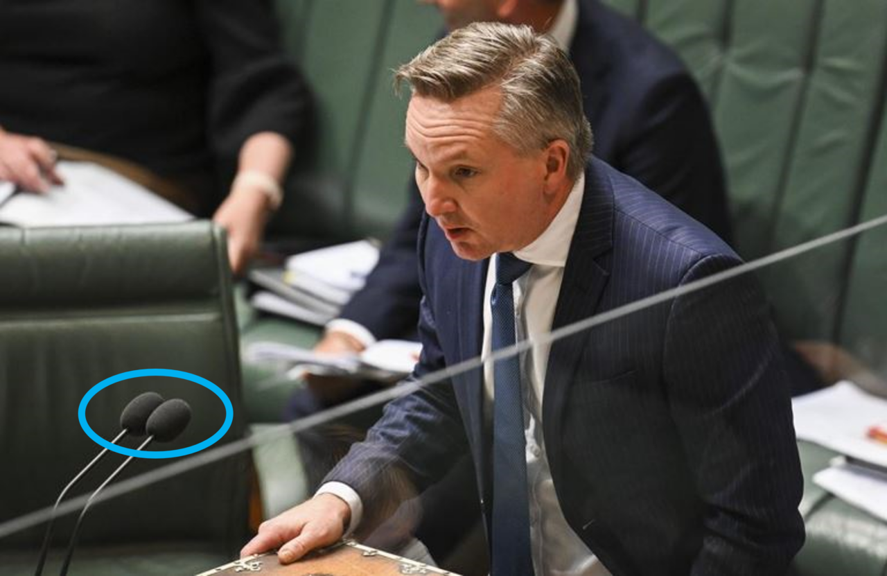 Parliament House | Microphone Foams — Mic Logo Branding